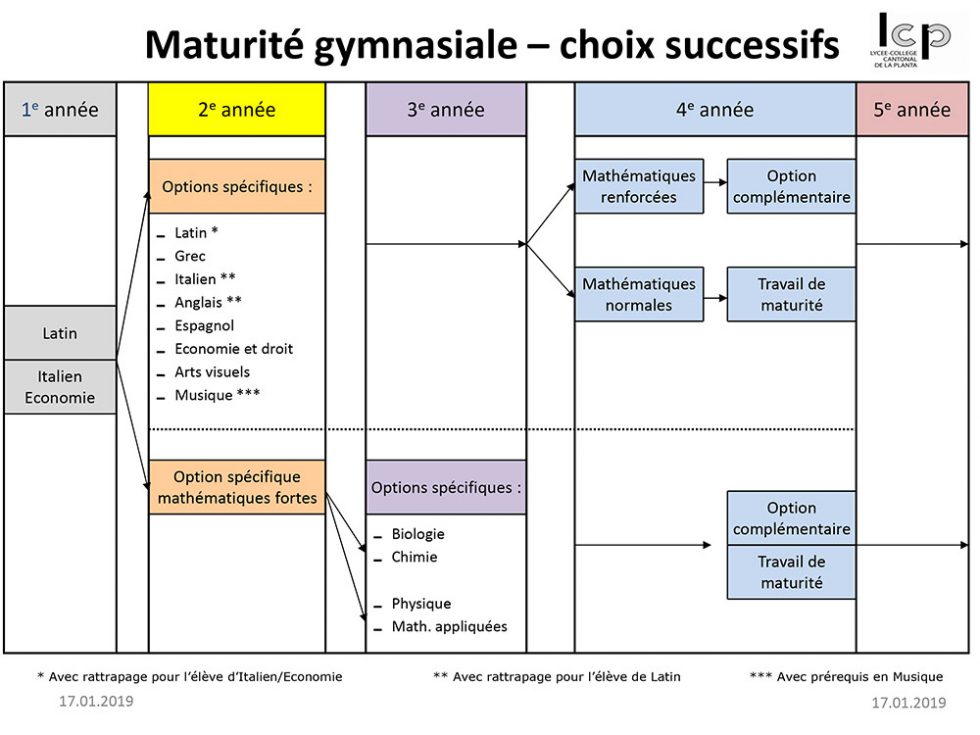 Choix durant la formation - Lycée Collège de la Planta